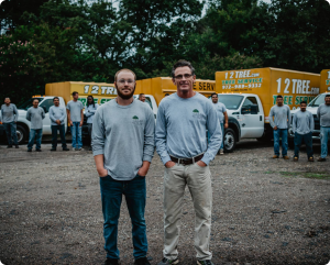 1-2-Tree | Flower Mound, Bartonville & Double Oak, TX | Tree Company